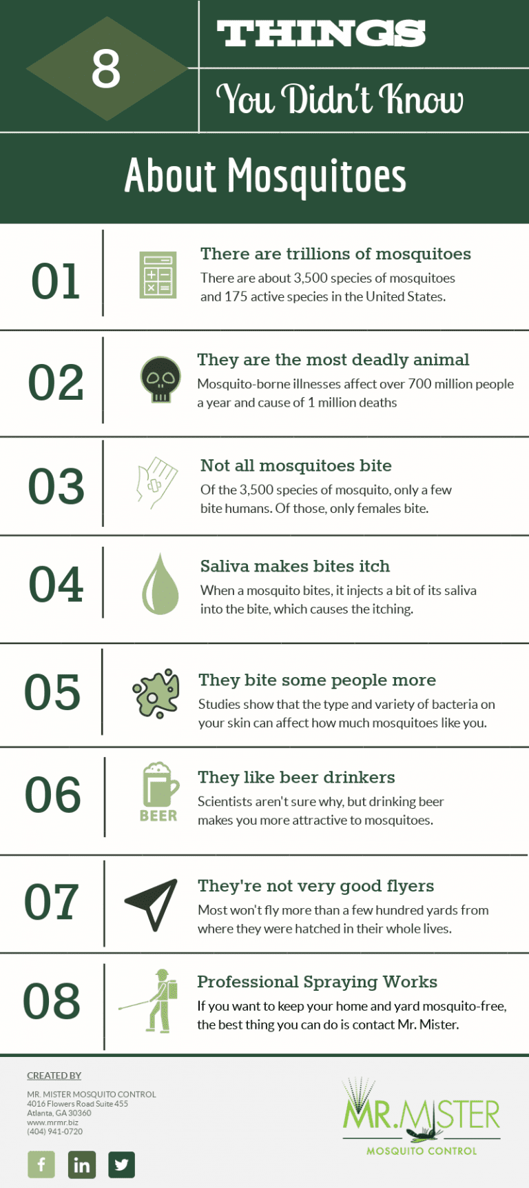 Things You Didn’t Know About Mosquitoes - Mr. Mister Mosquito Control
