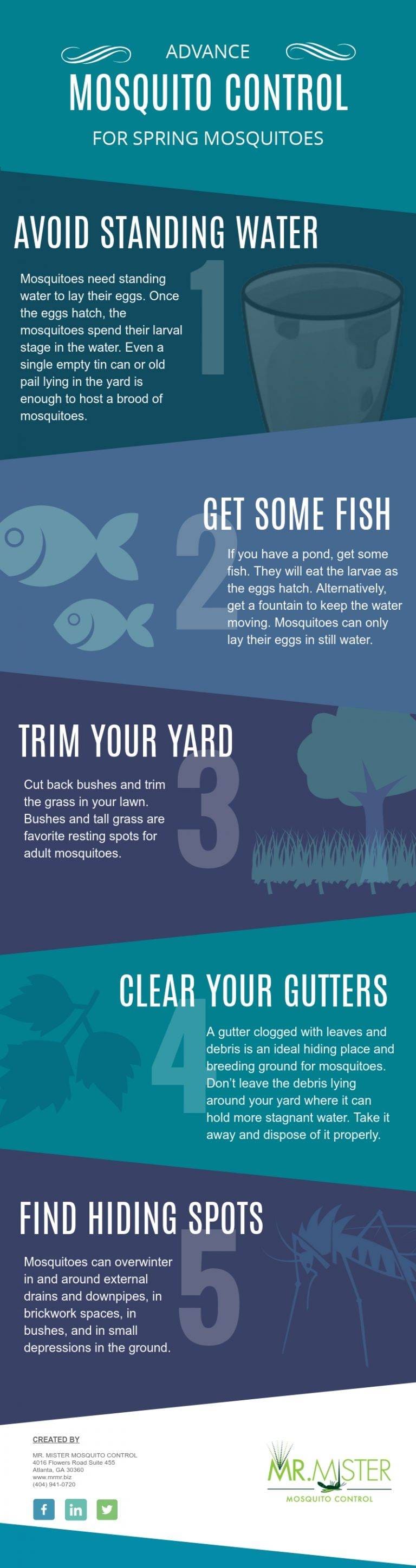 Prevention Tips For Spring Mosquitoes - Mr. Mister Mosquito Control