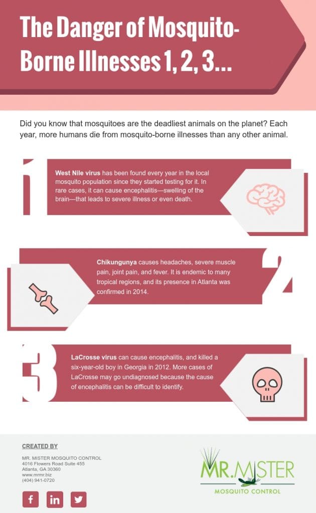 Got Mosquito Problems? We Can Help 24x7 | Mr. Mister Mosquito ControlMr ...