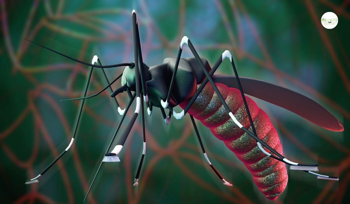 Why Commercial Mosquito Control Matters