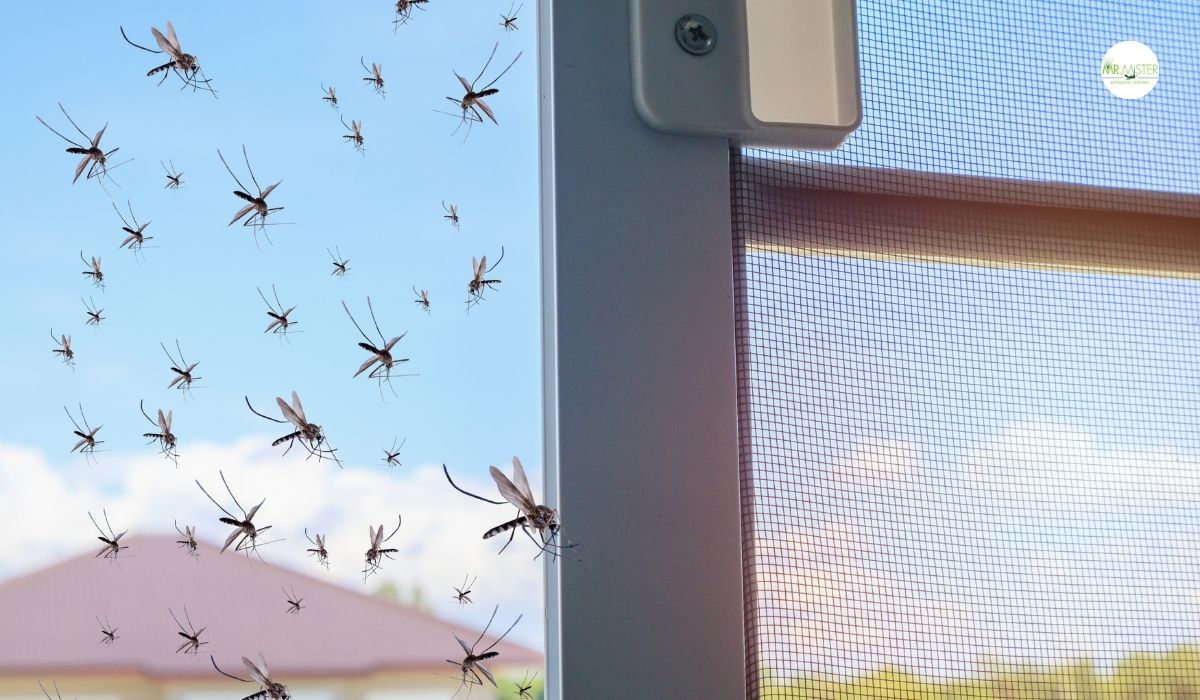 Effective Commercial Organic Mosquito Control Solutions